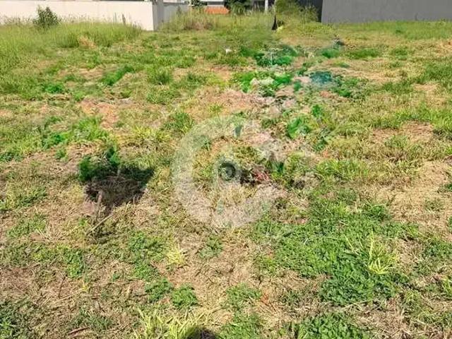 Terreno / Lote para Venda em Foz do Iguaçu/PR Jardim Ipê