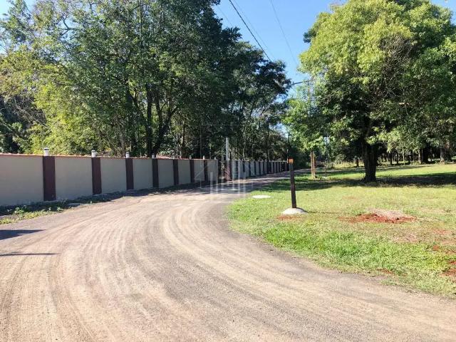 Terreno / Lote para Venda em Foz do Iguaçu/PR Jardim Residencial Cataratas
