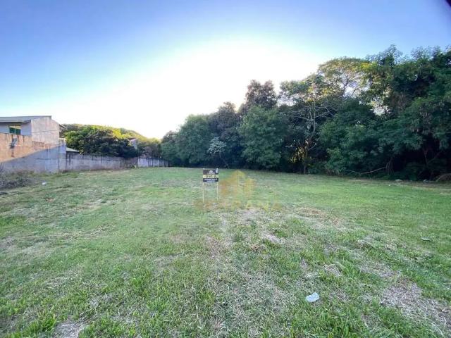 Terreno / Lote para Venda em Foz do Iguaçu/PR Jardim São Paulo II
