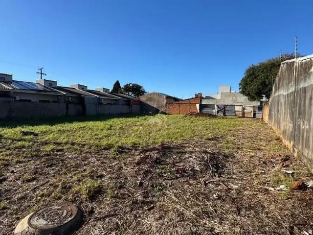 Terreno / Lote para Venda em Foz do Iguaçu/PR Polo Universitário