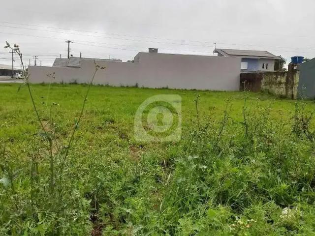 Terreno / Lote para Venda em Foz do Iguaçu/PR Porto Belo