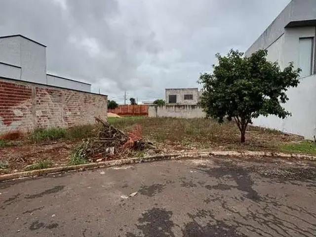 Terreno / Lote para Venda em Floresta/PR Jardim Araucária
