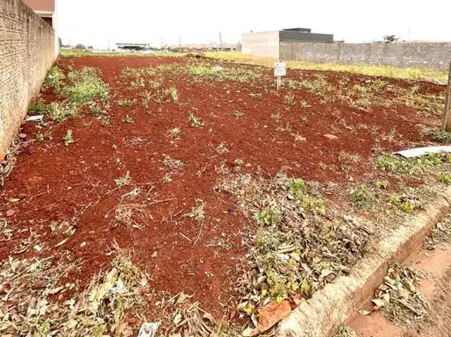 Terreno / Lote para Venda em Floresta/PR Jardim Itália