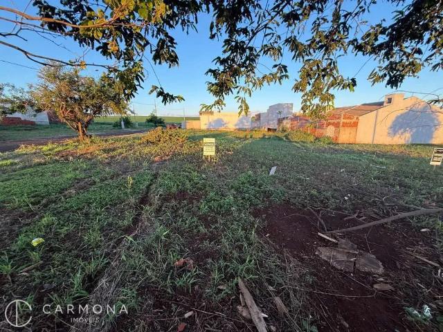 Terreno / Lote para Venda em Floresta/PR Jardim Mônaco