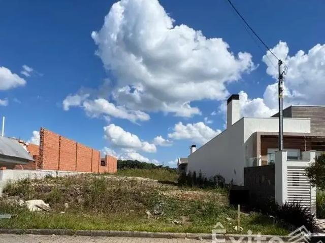 Terreno / Lote para Venda em Flores da Cunha/RS Videiras