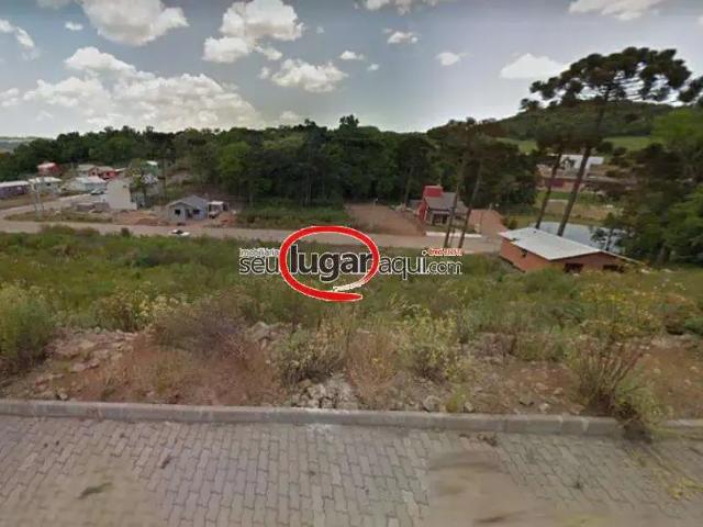 Terreno / Lote para Venda em Flores da Cunha/RS Videiras