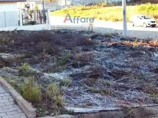 Terreno / Lote para Venda em Flores da Cunha/RS Videiras