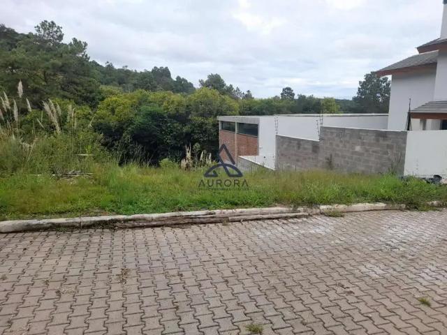 Terreno / Lote para Venda em Flores da Cunha/RS Vila Toscana