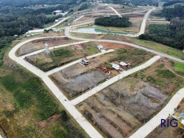 Terreno / Lote para Venda em Flores da Cunha/RS Villa Romana