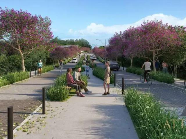 Terreno / Lote para Venda em Flores da Cunha/RS Centro