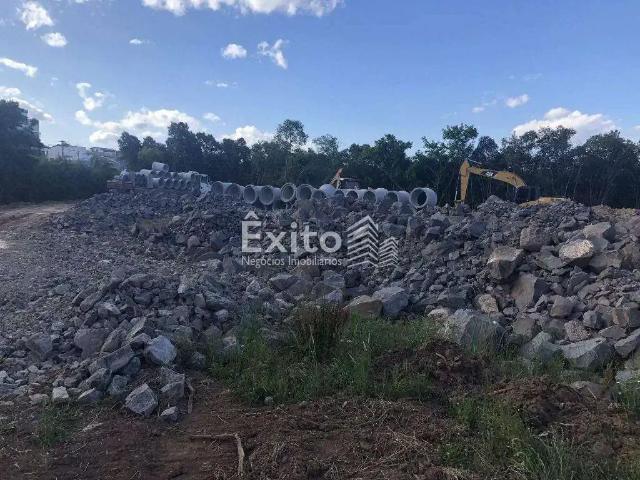 Terreno / Lote para Venda em Flores da Cunha/RS Centro