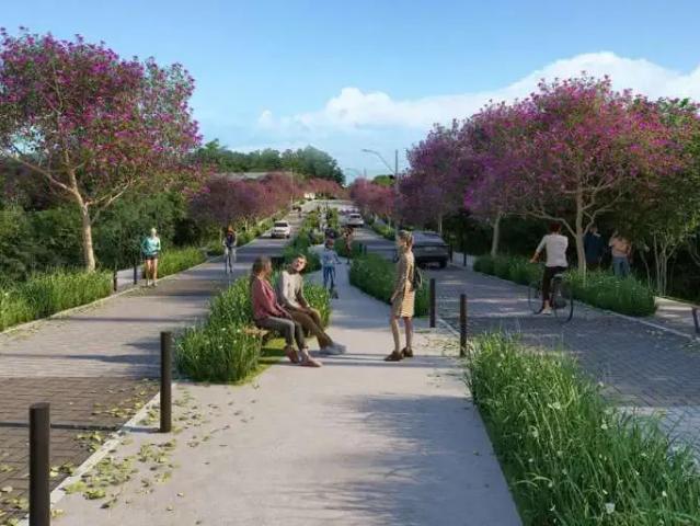 Terreno / Lote para Venda em Flores da Cunha/RS Centro