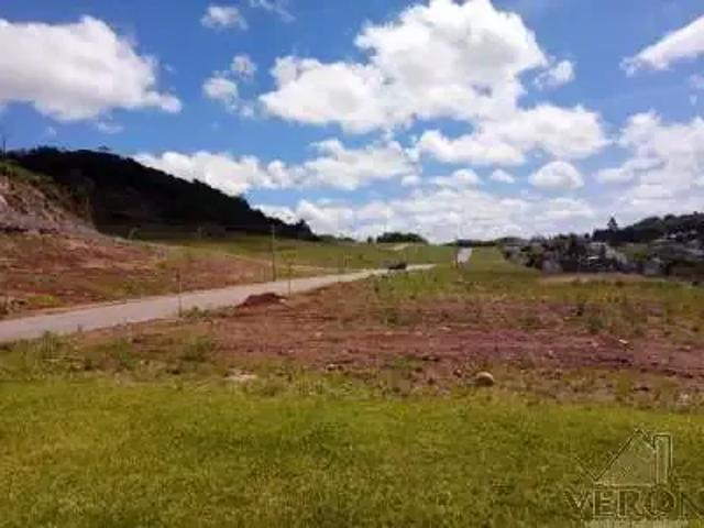 Terreno / Lote para Venda em Flores da Cunha/RS Centro