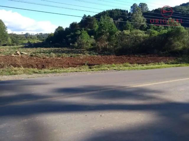 Terreno / Lote para Venda em Flores da Cunha/RS Nova Roma Distrito