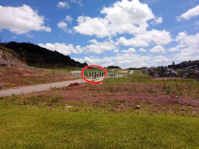 Terreno / Lote para Venda em Flores da Cunha/RS Nova Roma Distrito