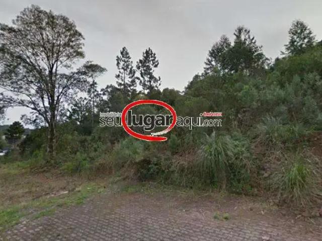 Terreno / Lote para Venda em Flores da Cunha/RS São Gotardo Distrito