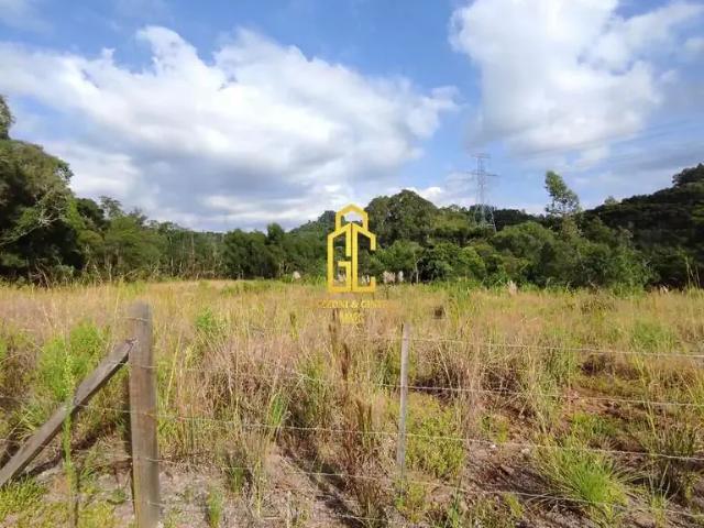 Terreno / Lote para Venda em Flores da Cunha/RS São Gotardo Distrito