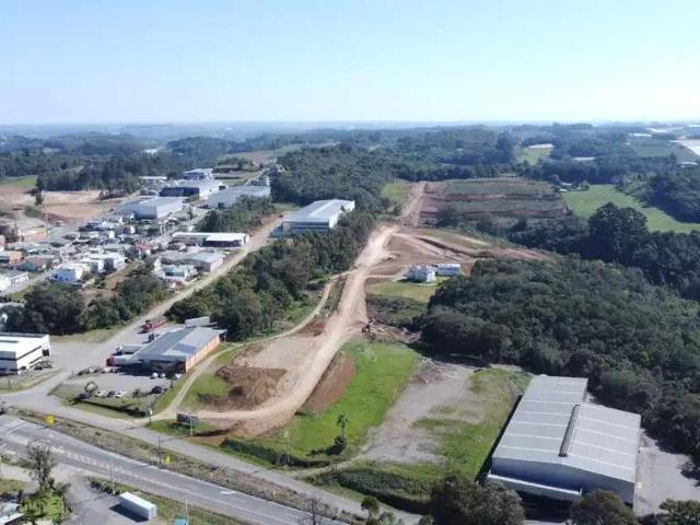 Terreno / Lote para Venda em Flores da Cunha/RS São Gotardo Distrito