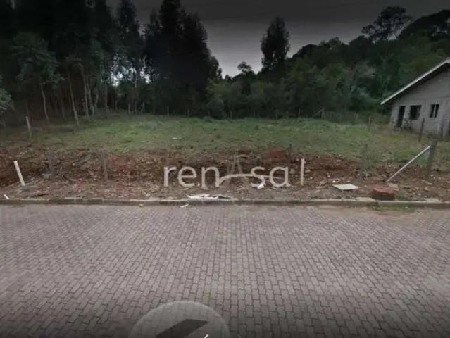 Terreno / Lote para Venda em Flores da Cunha/RS São Gotardo Distrito