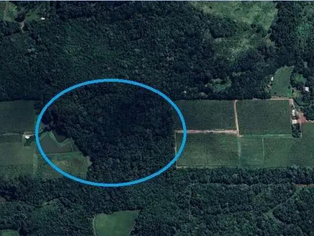 Terreno / Lote para Venda em Flores da Cunha/RS São Gotardo Distrito