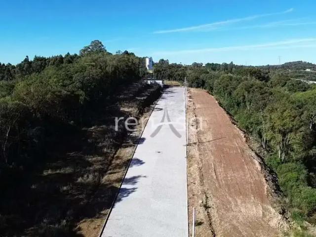 Terreno / Lote para Venda em Flores da Cunha/RS São Gotardo Distrito