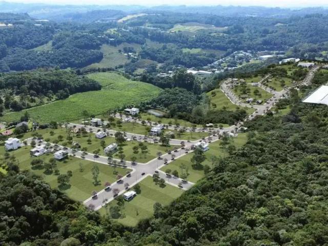 Terreno / Lote para Venda em Flores da Cunha/RS São Gotardo Distrito