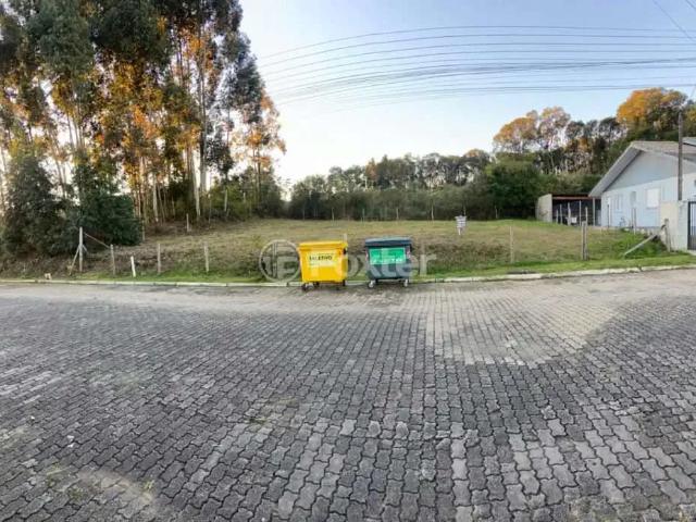 Terreno / Lote para Venda em Flores da Cunha/RS São Gotardo Distrito