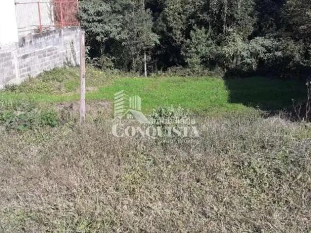 Terreno / Lote para Venda em Flores da Cunha/RS São Gotardo Distrito