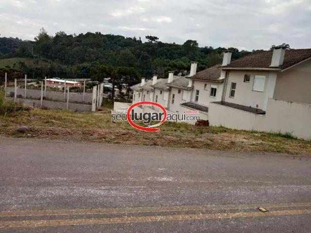 Terreno / Lote para Venda em Flores da Cunha/RS São Gotardo Distrito