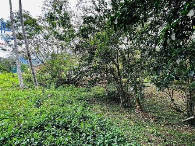 Terreno / Lote para Venda em Florianópolis/SC Córrego Grande