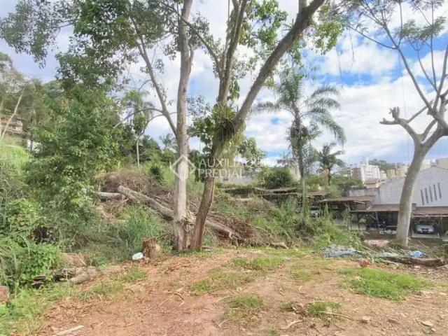 Terreno / Lote para Venda em Florianópolis/SC Córrego Grande