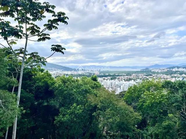 Terreno / Lote para Venda em Florianópolis/SC Córrego Grande