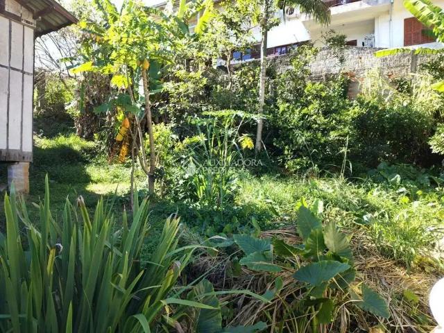 Terreno / Lote para Venda em Florianópolis/SC Córrego Grande