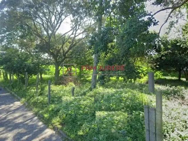 Terreno / Lote para Venda em Florianópolis/SC Cachoeira do Bom Jesus