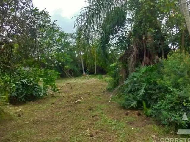 Terreno / Lote para Venda em Florianópolis/SC Campeche