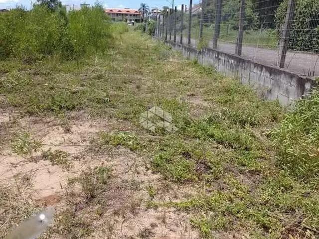 Terreno / Lote para Venda em Florianópolis/SC Campeche