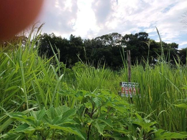 Terreno / Lote para Venda em Florianópolis/SC Campeche