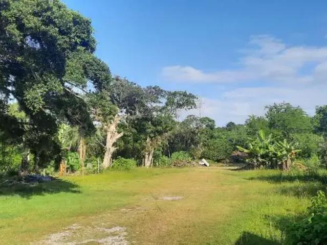 Terreno / Lote para Venda em Florianópolis/SC Campeche