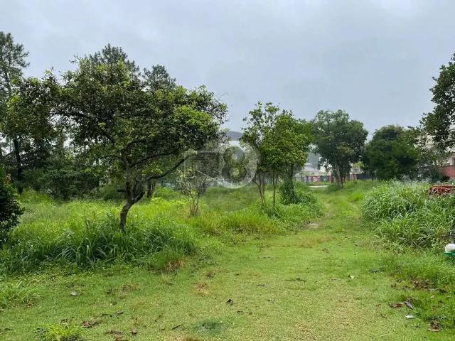 Terreno / Lote para Venda em Florianópolis/SC Campeche