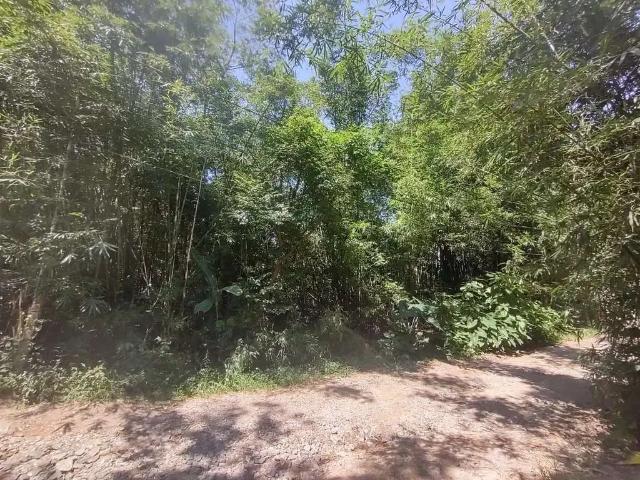 Terreno / Lote para Venda em Florianópolis/SC Campeche