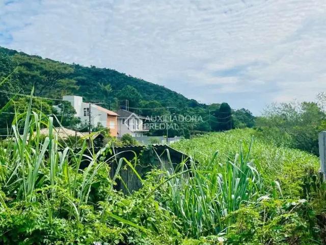 Terreno / Lote para Venda em Florianópolis/SC Campeche