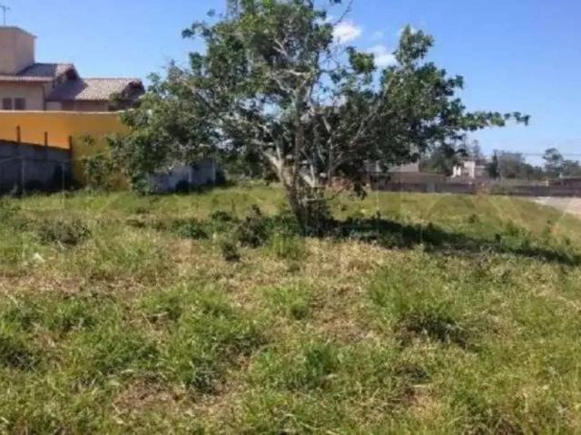 Terreno / Lote para Venda em Florianópolis/SC Campeche