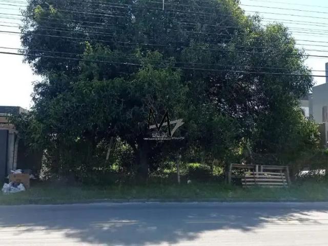 Terreno / Lote para Venda em Florianópolis/SC Campeche