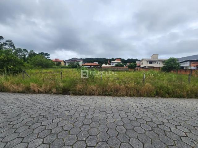 Terreno / Lote para Venda em Florianópolis/SC Campeche