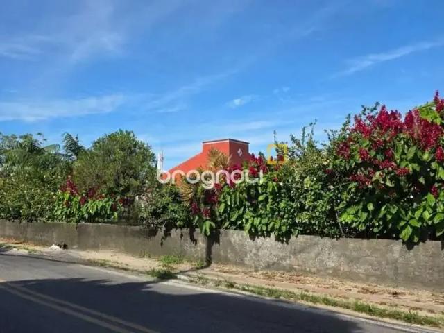 Terreno / Lote para Venda em Florianópolis/SC Campeche