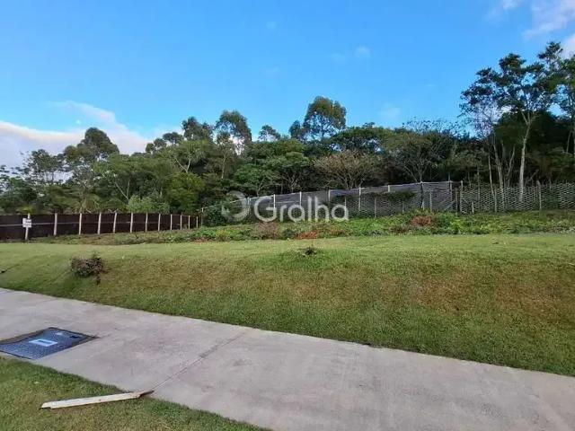 Terreno / Lote para Venda em Florianópolis/SC Campeche