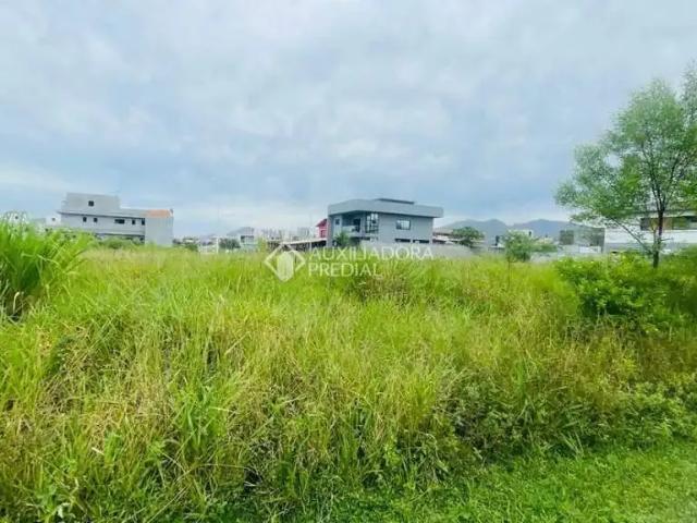 Terreno / Lote para Venda em Florianópolis/SC Campeche