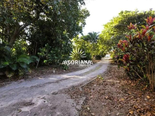 Terreno / Lote para Venda em Florianópolis/SC Campeche
