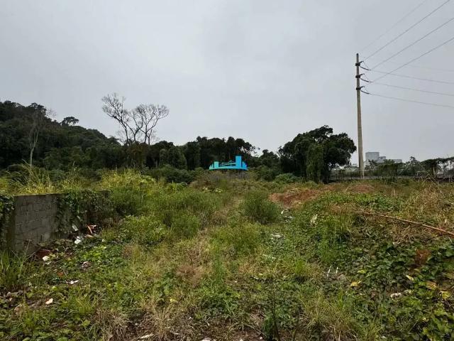 Terreno / Lote para Venda em Florianópolis/SC Campeche