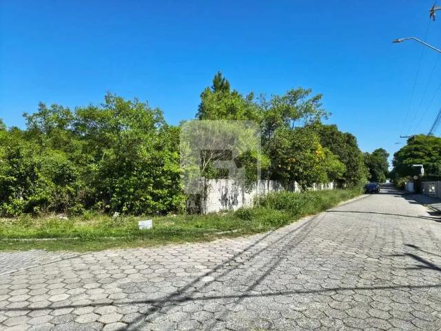 Terreno / Lote para Venda em Florianópolis/SC Campeche